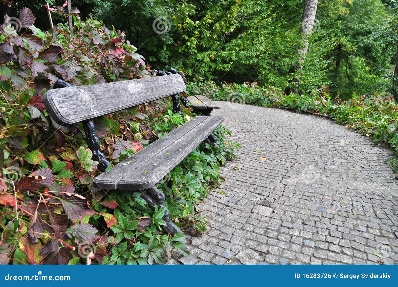 Bench for rest stock photo. Image of bench, green, path - 16283726
