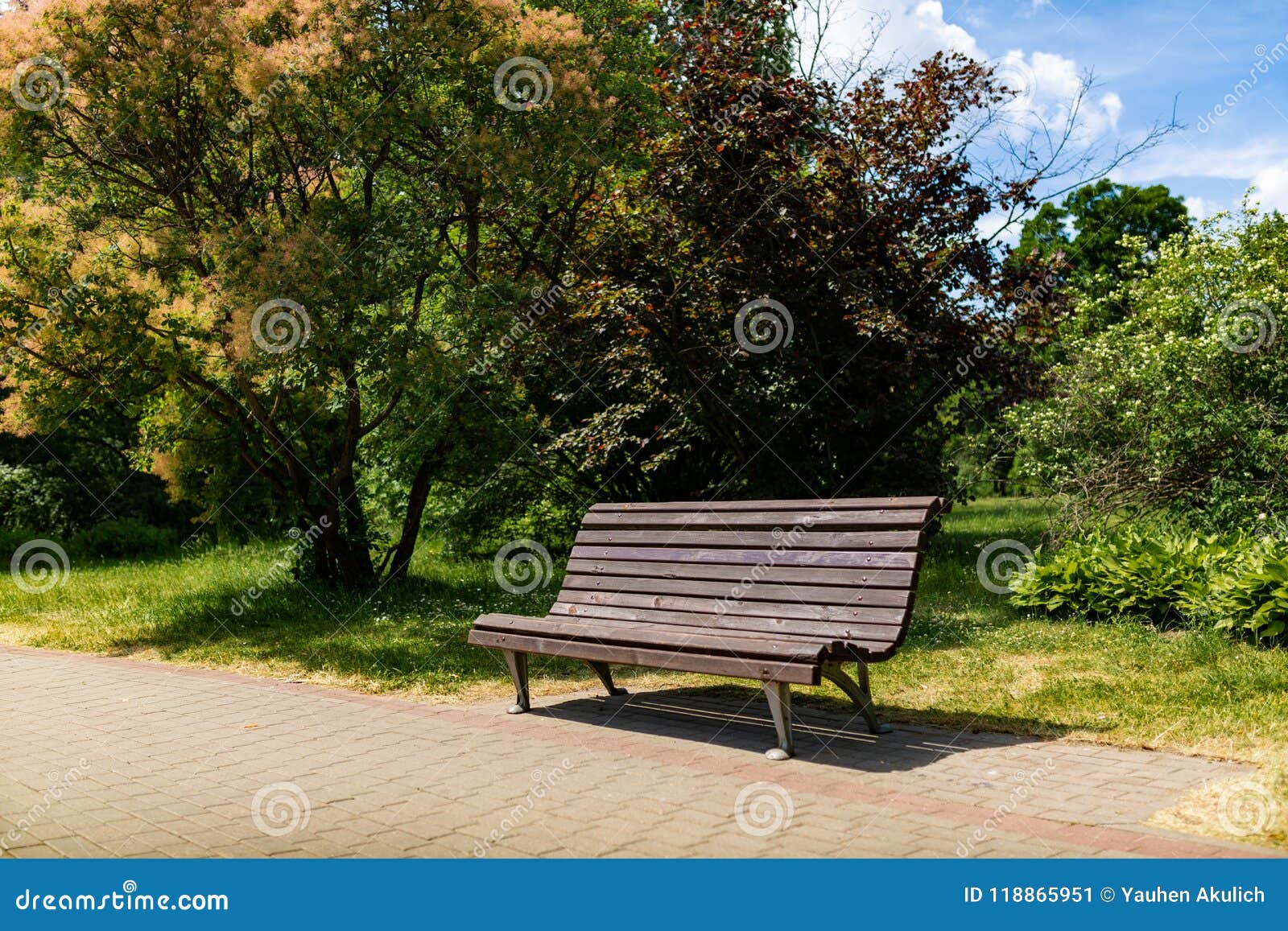 Bench for rest in the park stock image. Image of outdoor - 118865951