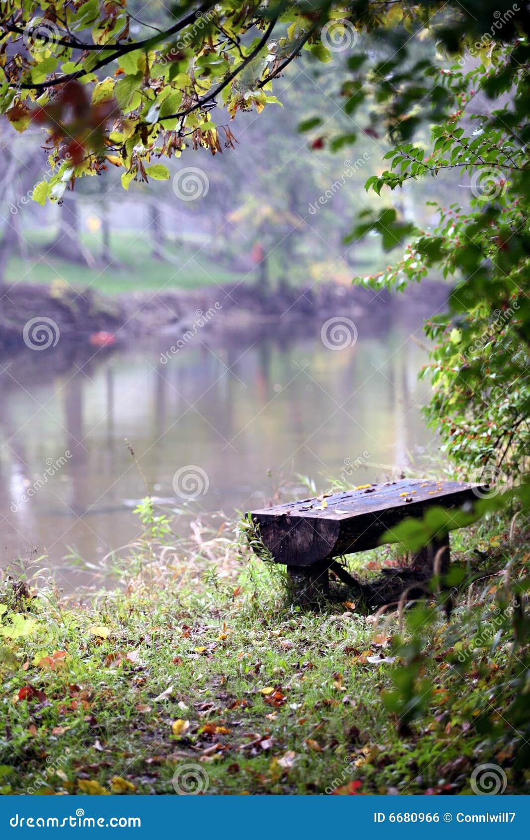 Bench On The River Picture. Image: 6680966