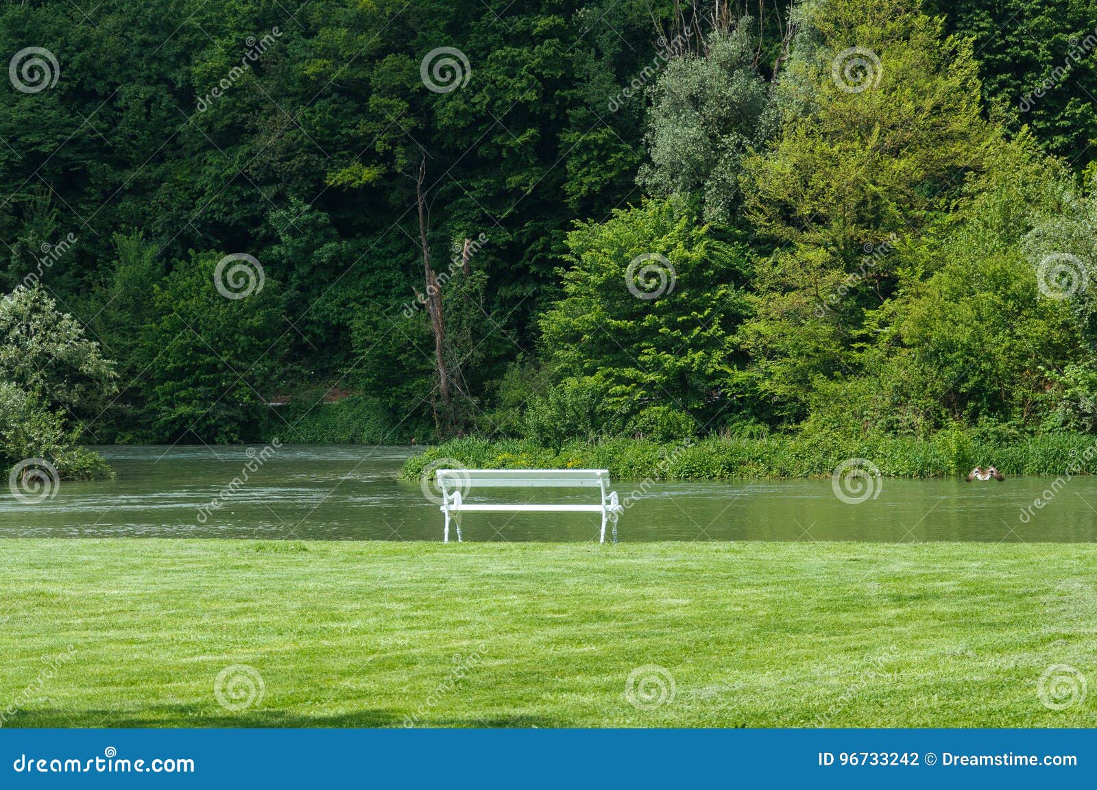 The bench by the river stock photo. Image of otocec, love - 96733242