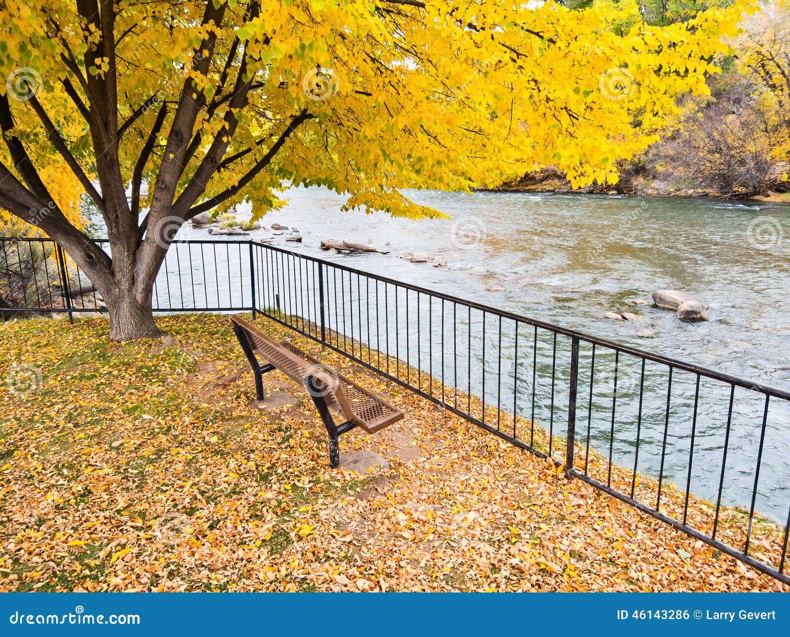 Bench on the River in Autumn Stock Photo - Image of park, garden: 46143286