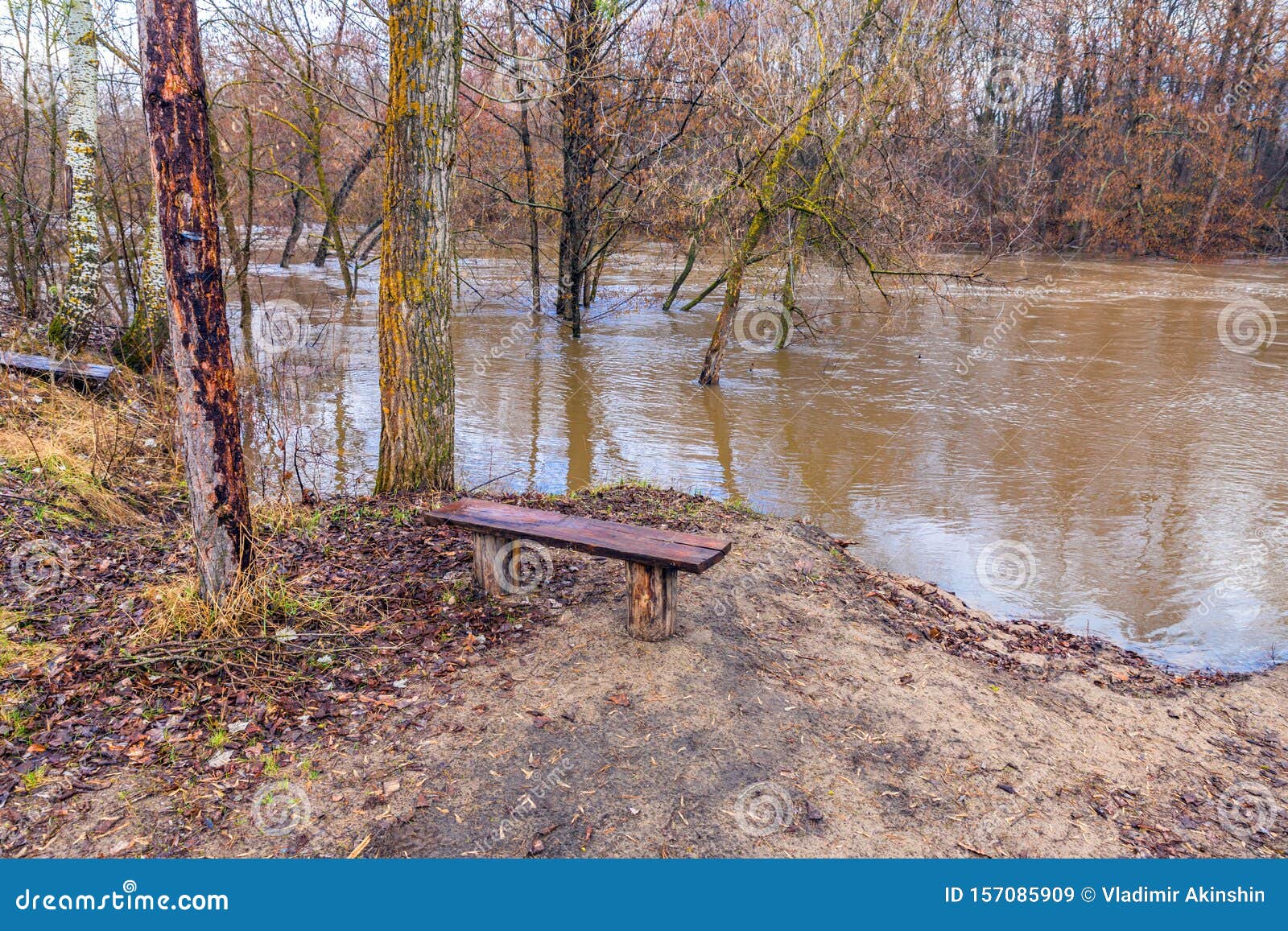 Bench on the River Bank during the Flood Stock Image - Image of melt ...