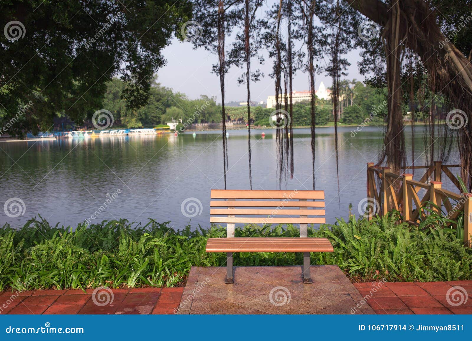 Bench beside the river stock photo. Image of bench, wooden - 106717914