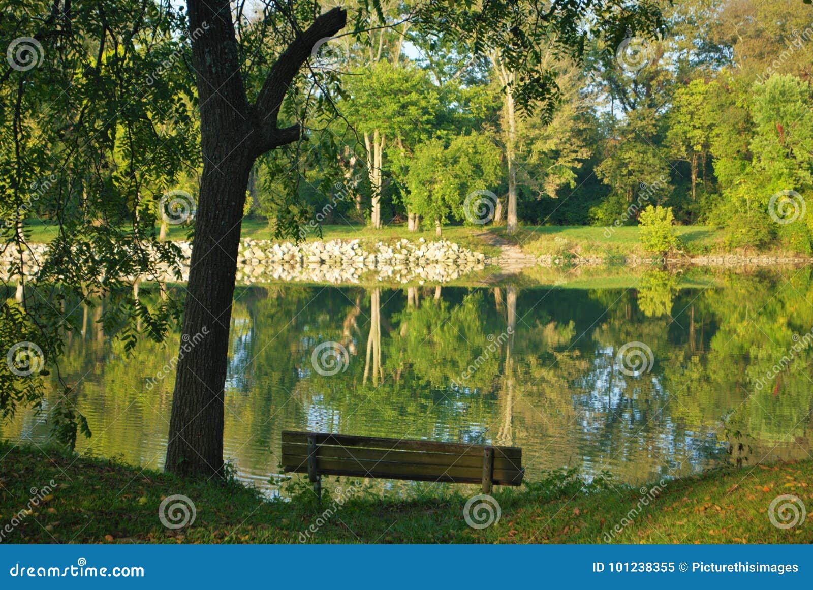 Bench by the river stock image. Image of rural, branch - 101238355