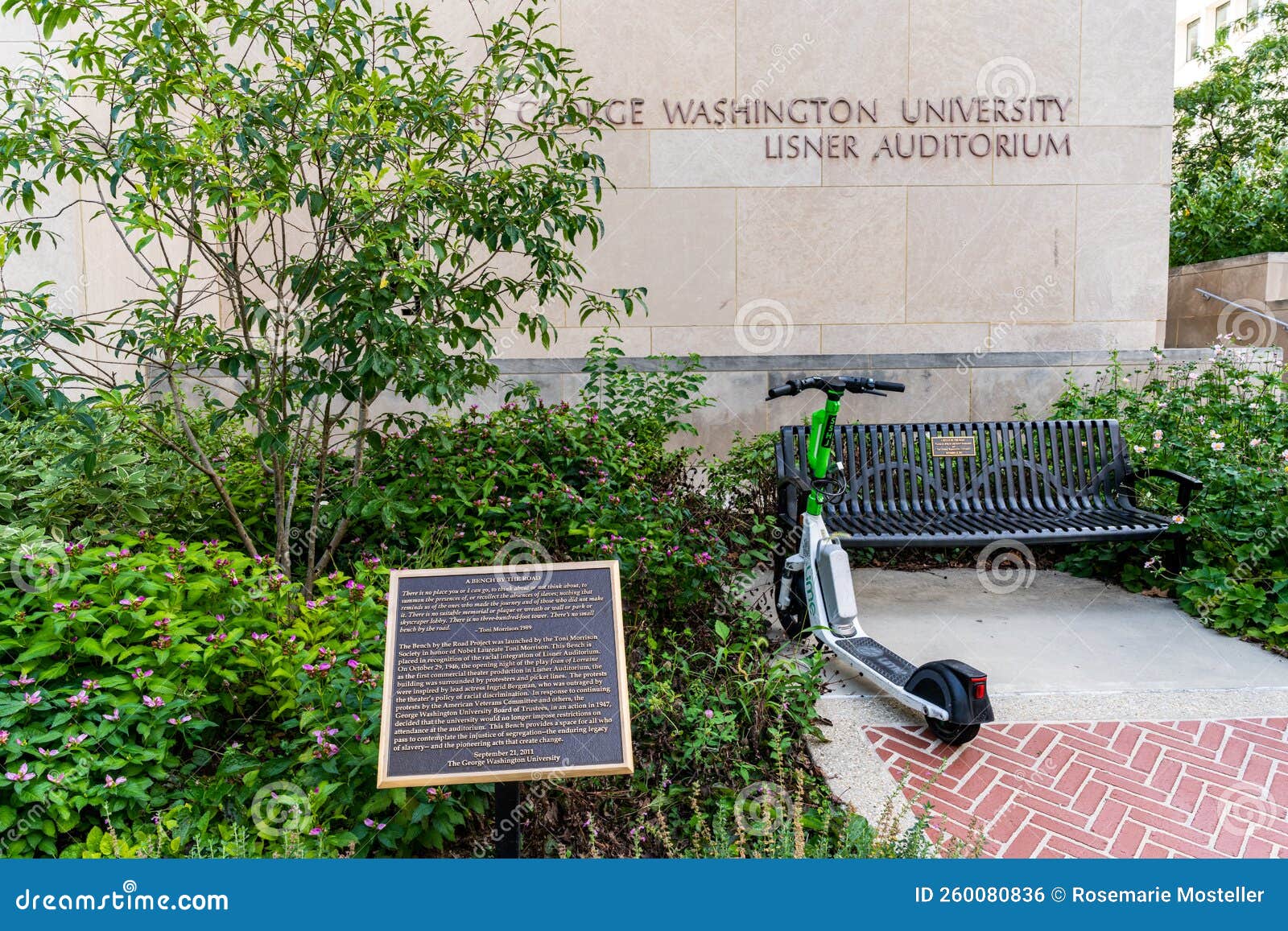 `Bench by the Road` Project Editorial Photo - Image of legacy, society ...