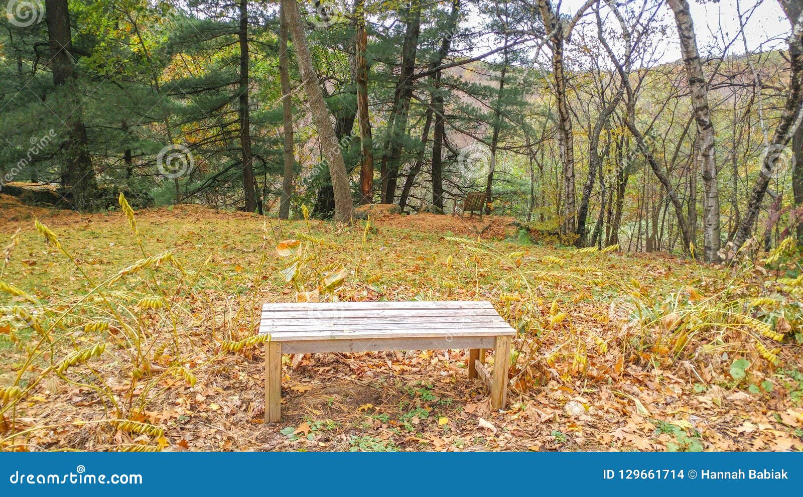 Bench on a Rock Ledge with Scenic Drop Off Stock Photo - Image of bench ...