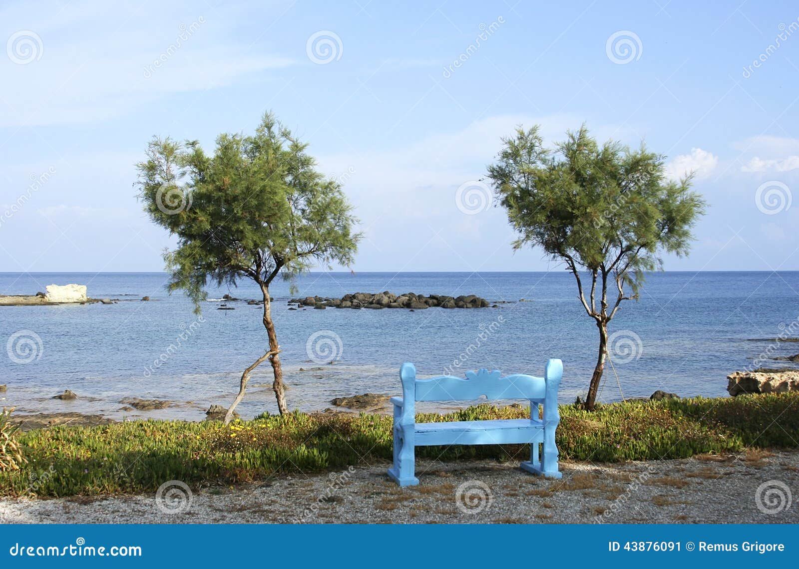 Bench and sea stock image. Image of painted, grass, rest - 43876091
