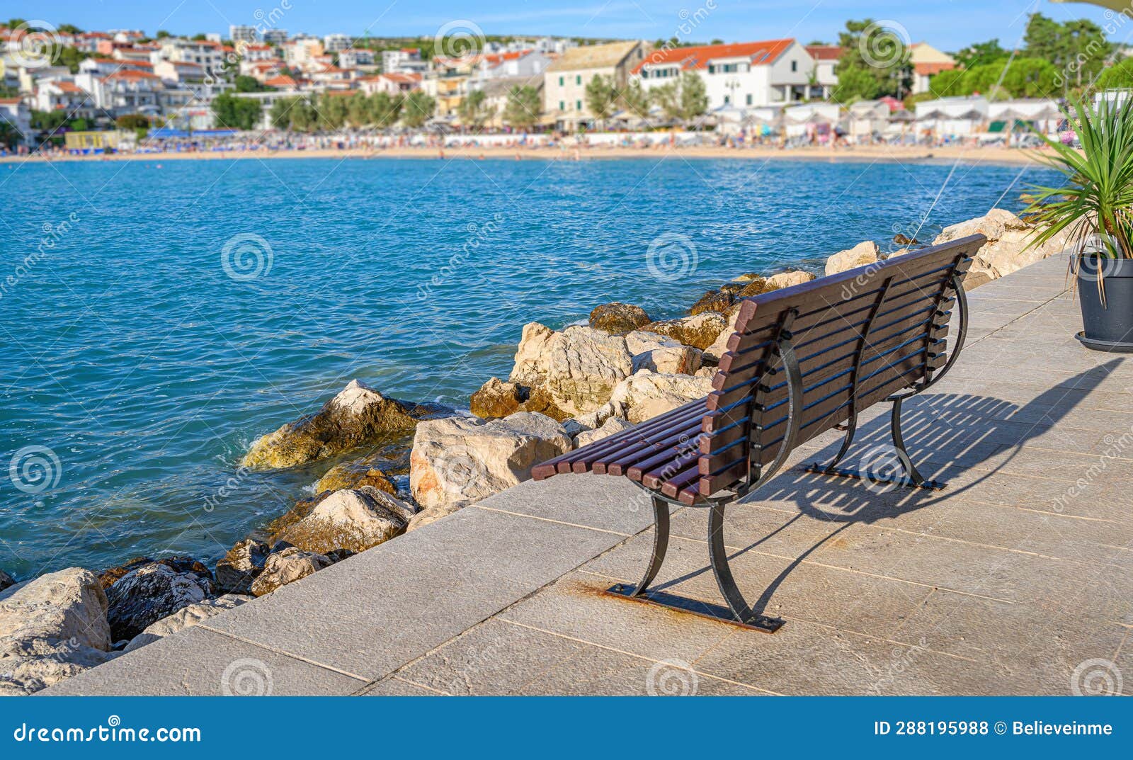 Bench on the seashore. stock photo. Image of scenic - 288195988