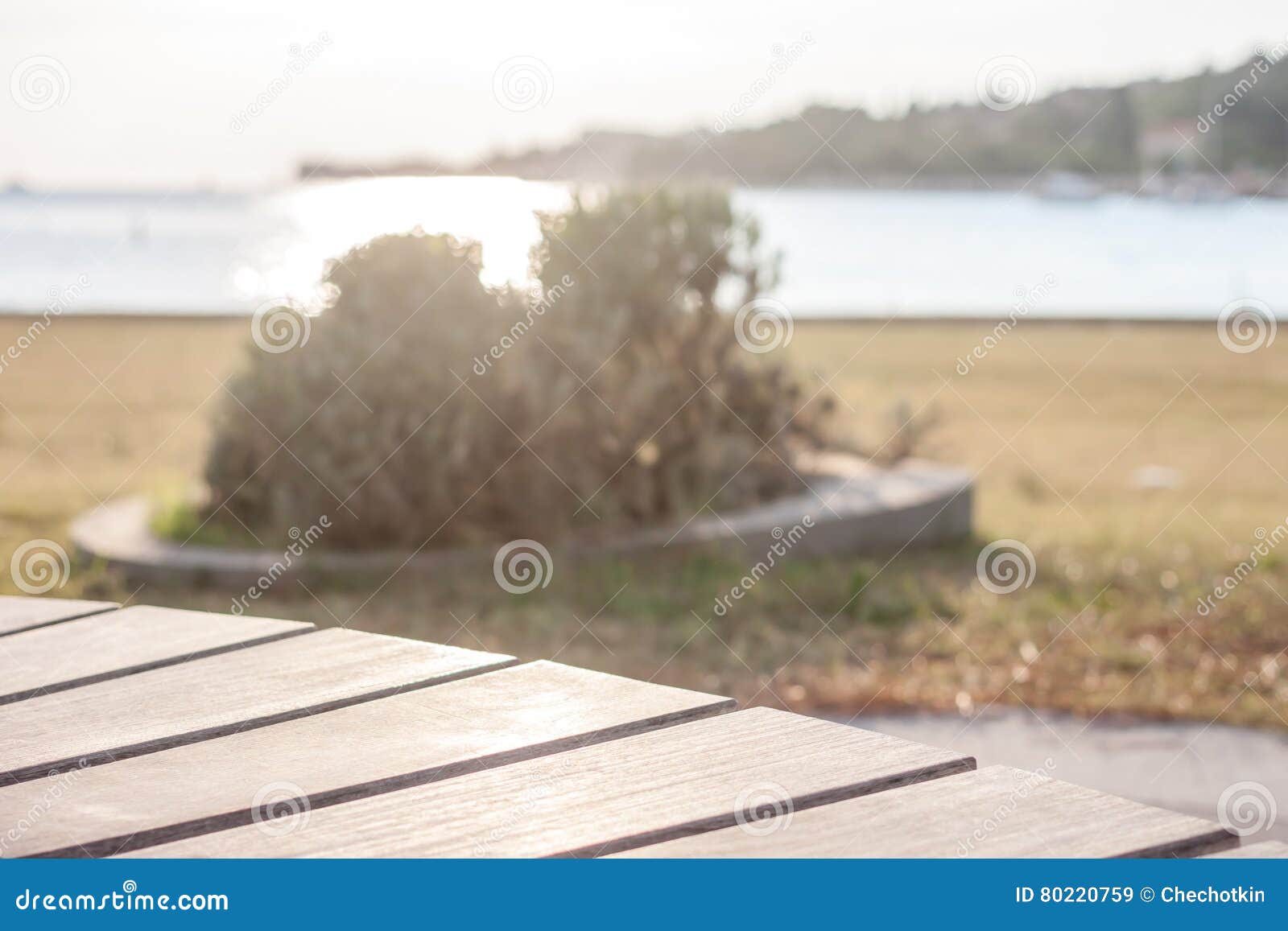 Bench on the seaside stock image. Image of summer, sunlight - 80220759