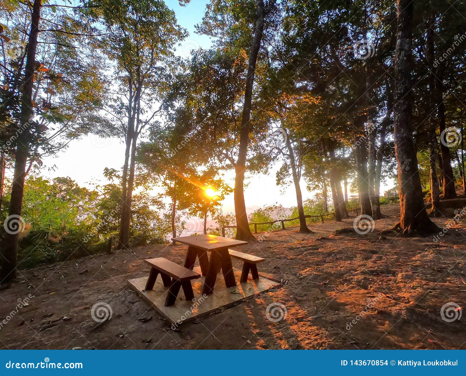 Bench Set at View Point in the Forest Stock Photo - Image of point ...