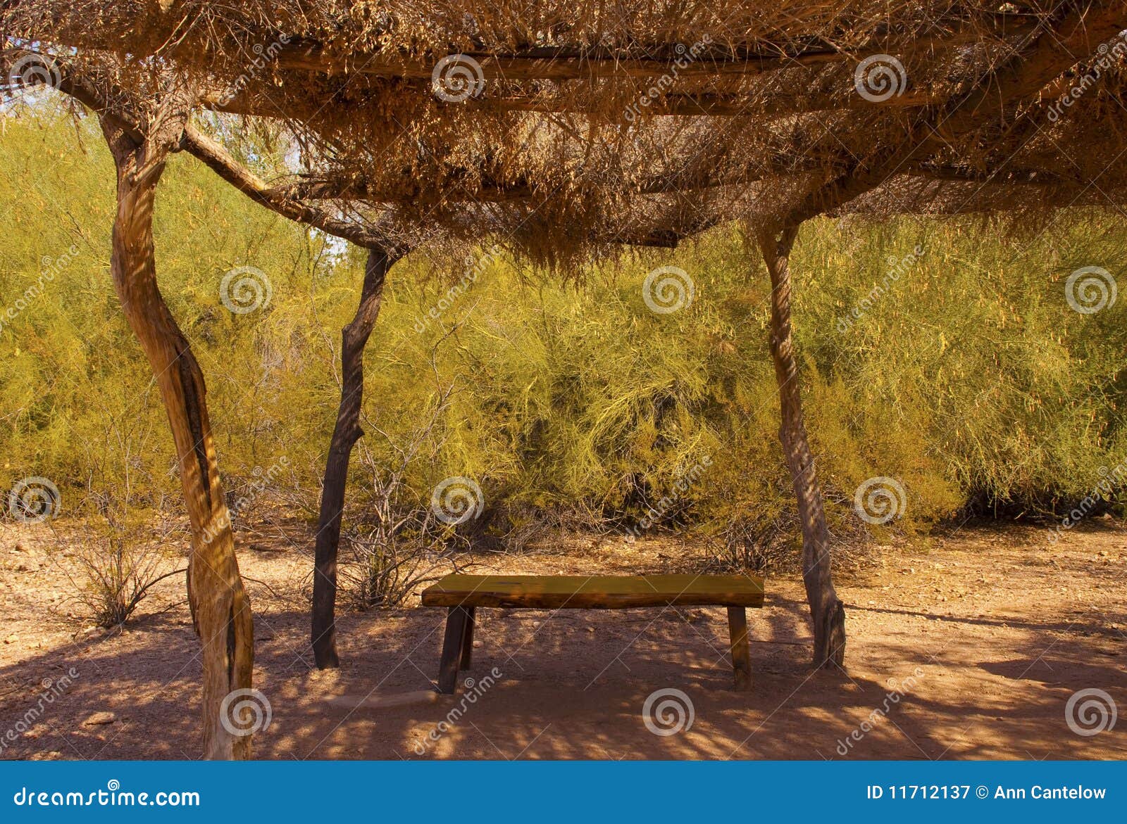 Bench in the Shade of a Desert Ramada Stock Image - Image of rustic ...