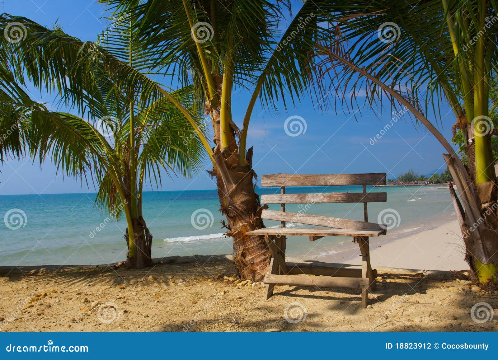 Bench in the Shade of a Palm Tree Stock Photo - Image of climate, dream ...