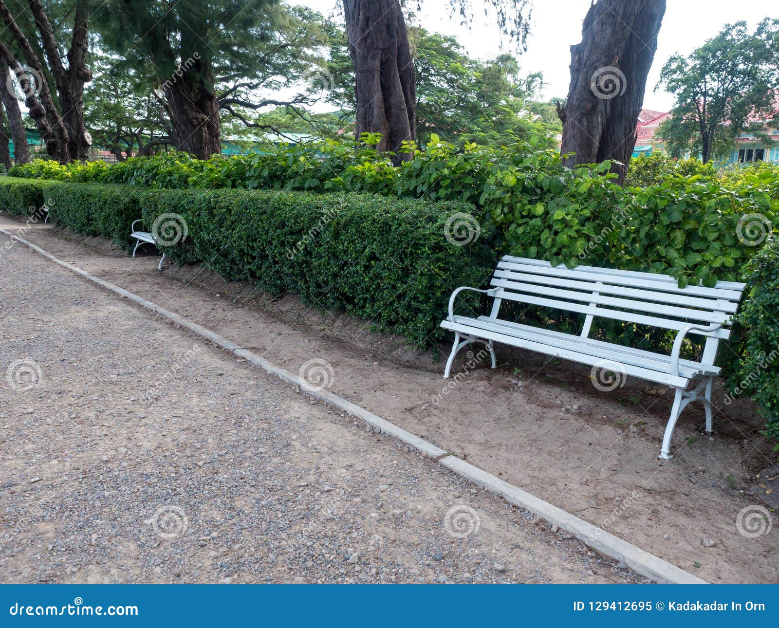 The Bench in the Shady Garden Stock Image - Image of concrete, bench ...