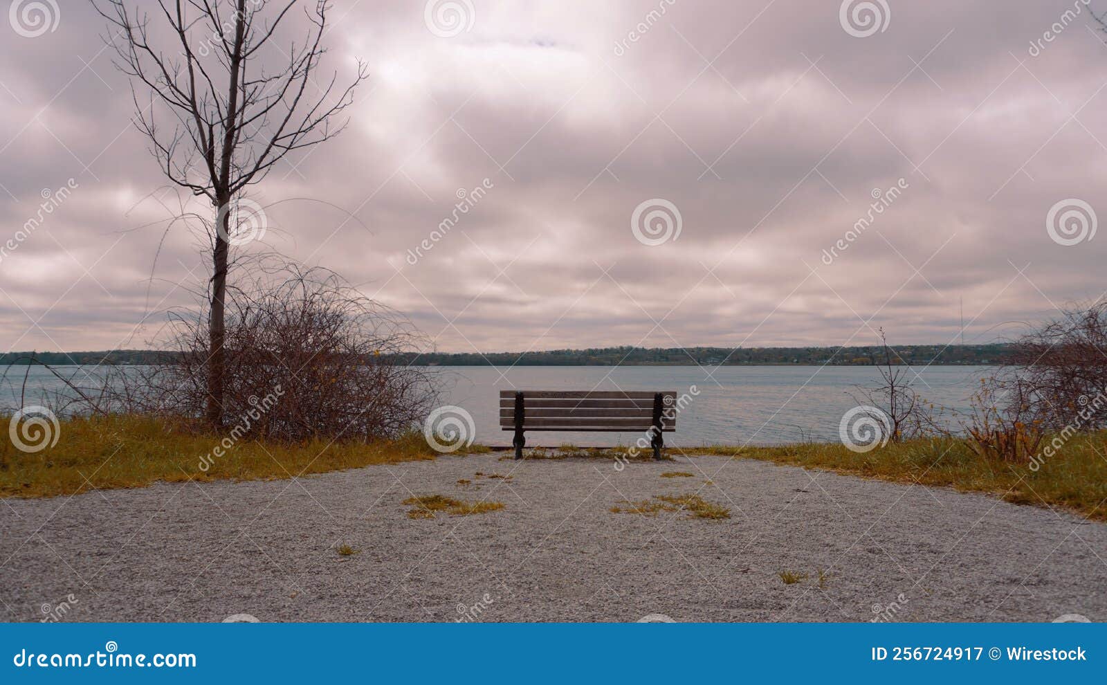 Bench on the Shore of a Lake Stock Image - Image of lake, rural: 256724917