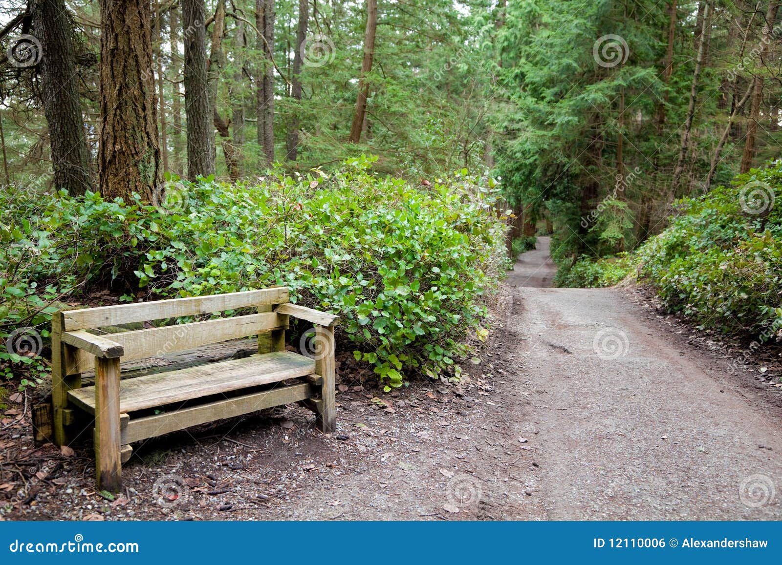 Bench by Side of Nature Path Stock Photo - Image of trees, beautiful ...