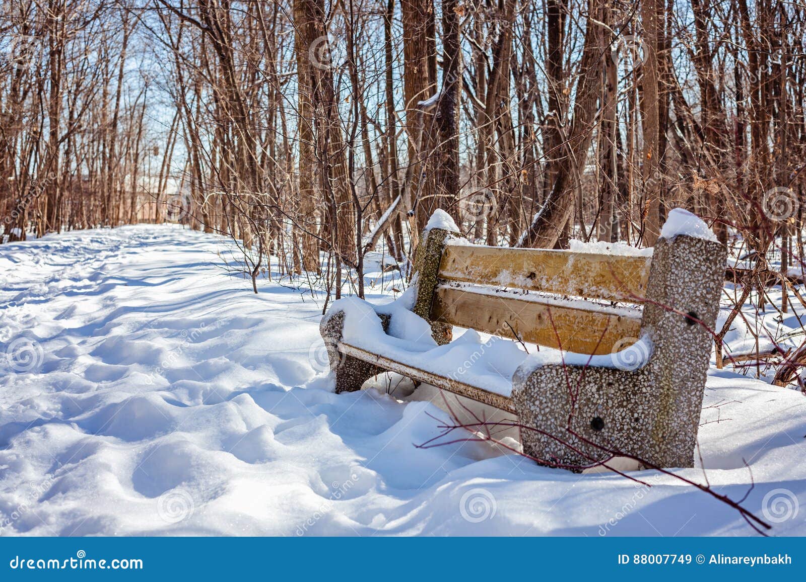 Bench In The Snowy Park In Winter. Nice Place Stock Image ...