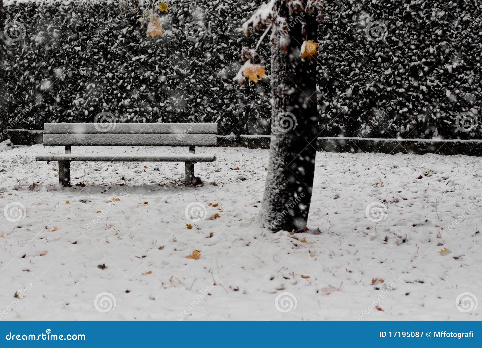 A Bench: Solitude in the Snow Storm Stock Image - Image of wind ...