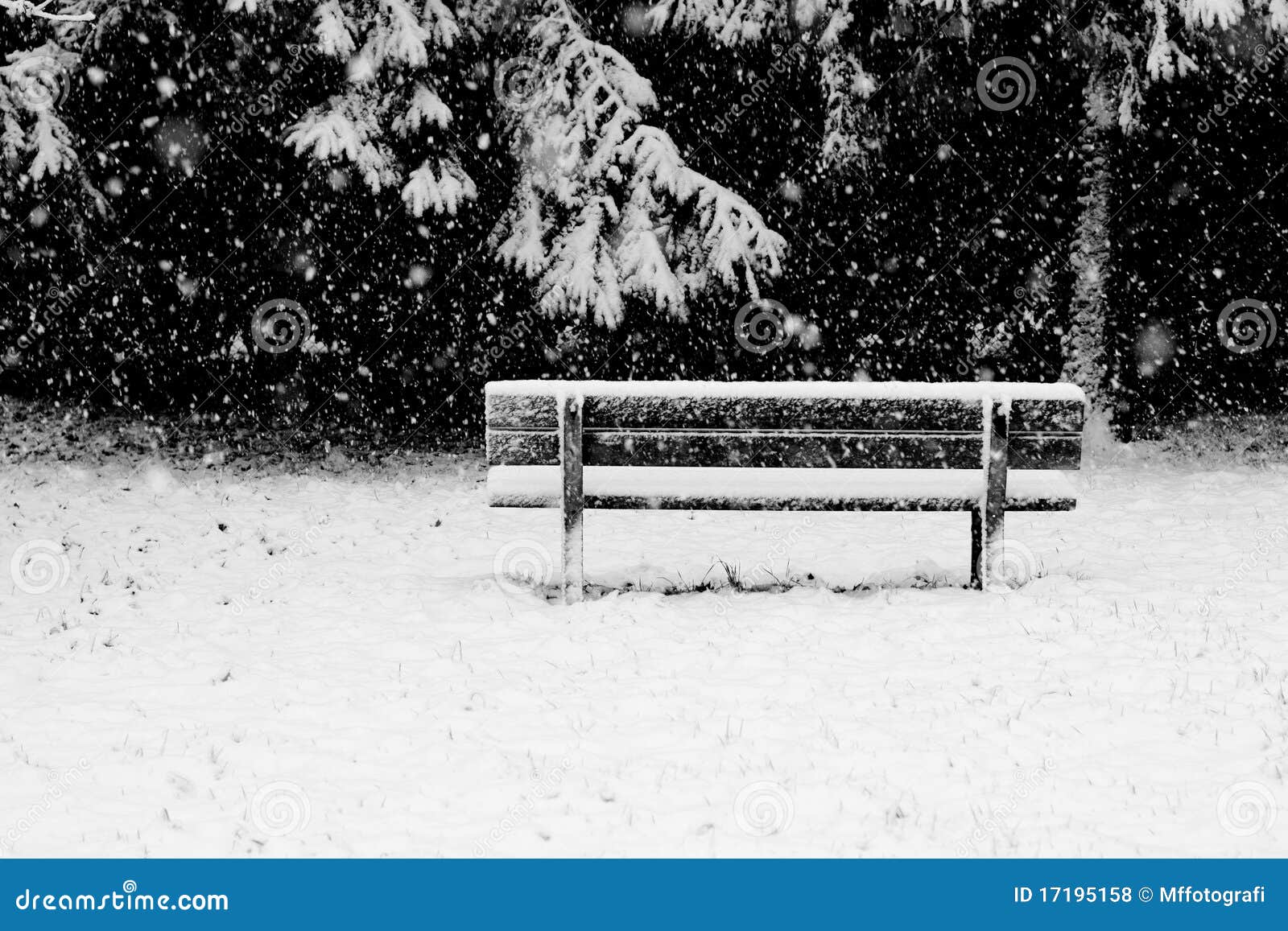 A Bench: Solitude in the Snow Storm Stock Photo - Image of outdoor ...