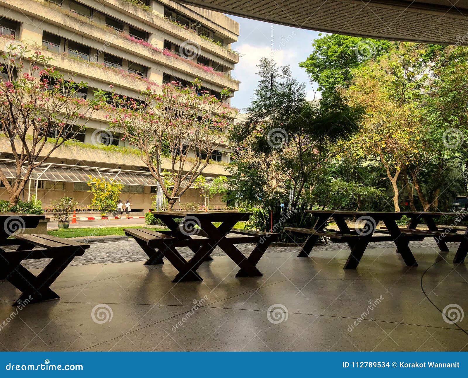Bench with Space in Park View with Building Background Editorial Stock ...
