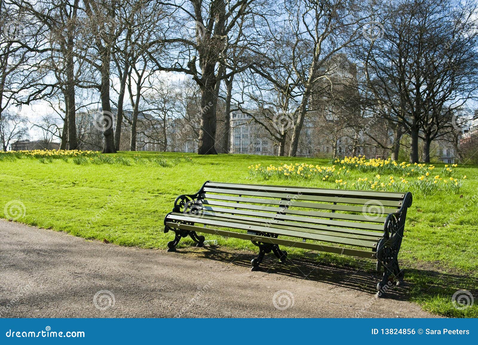 Bench in the spring stock photo. Image of blooming, bench - 13824856