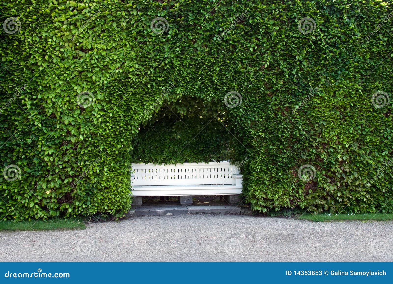 The Bench, Standing in a Niche of the Hedge. Stock Image - Image of ...