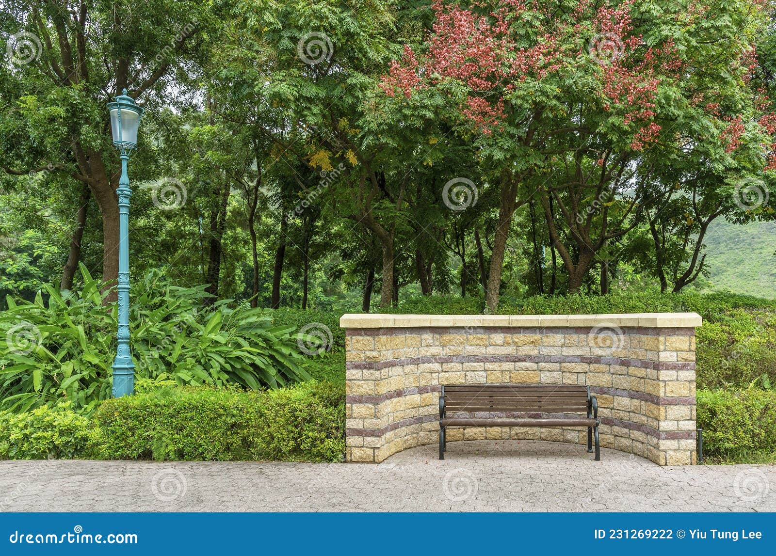 Bench and Street Light in Green Park Stock Photo - Image of wood, bench ...
