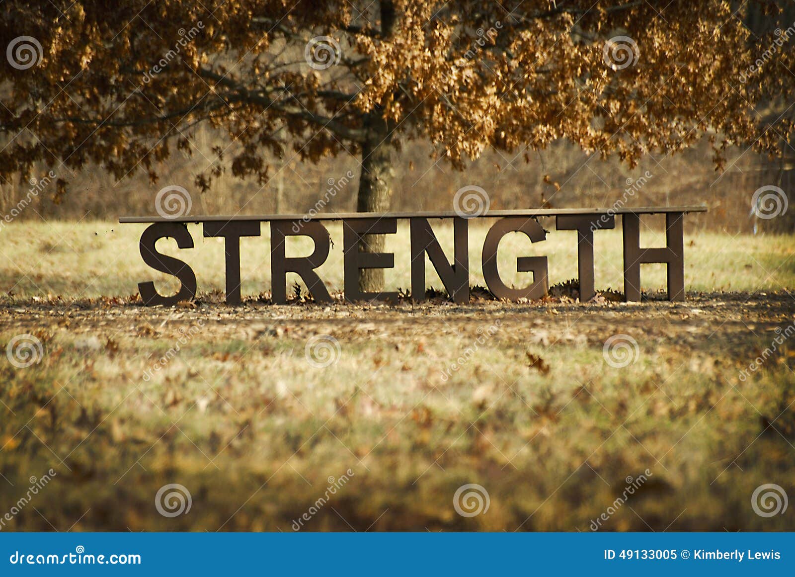 Strength Word