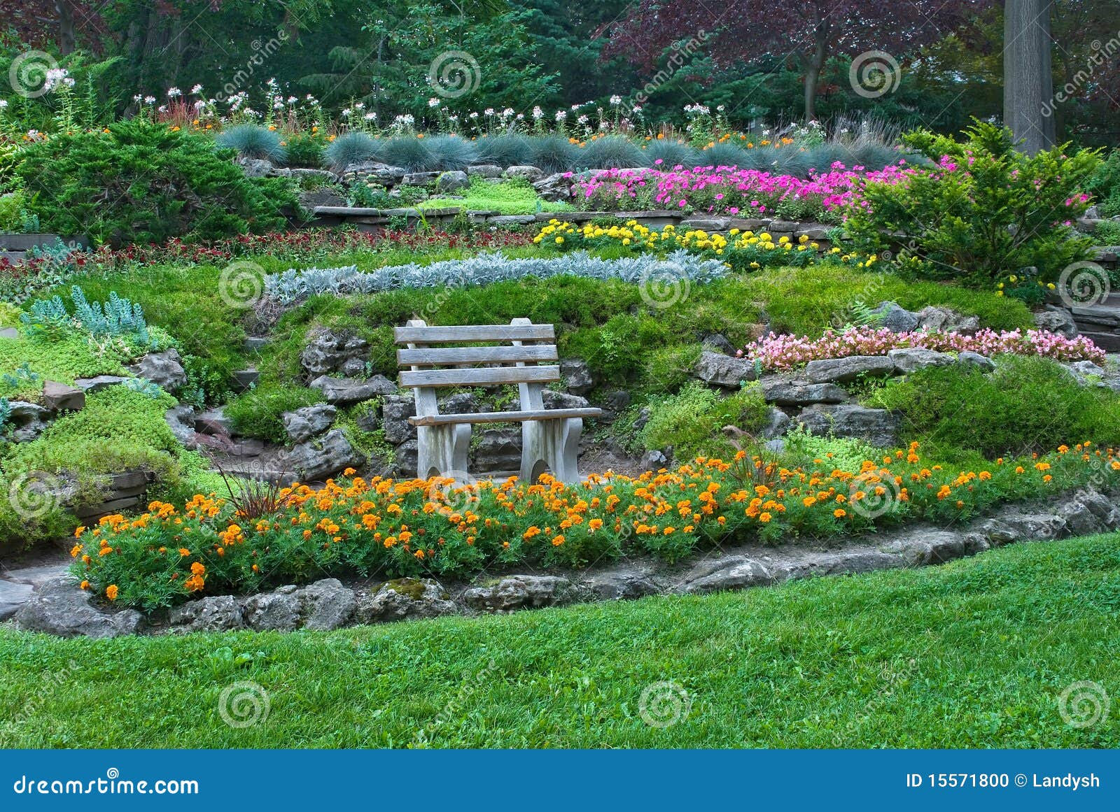 Bench in a Summer Garden with Blooming Flowers Stock Photo - Image of ...