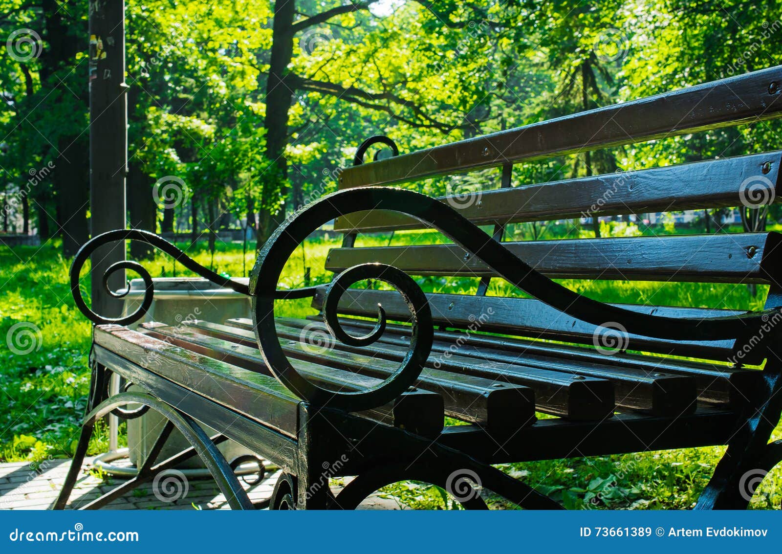 Bench in Summer Park. Close Up Stock Image - Image of colorful, grow ...