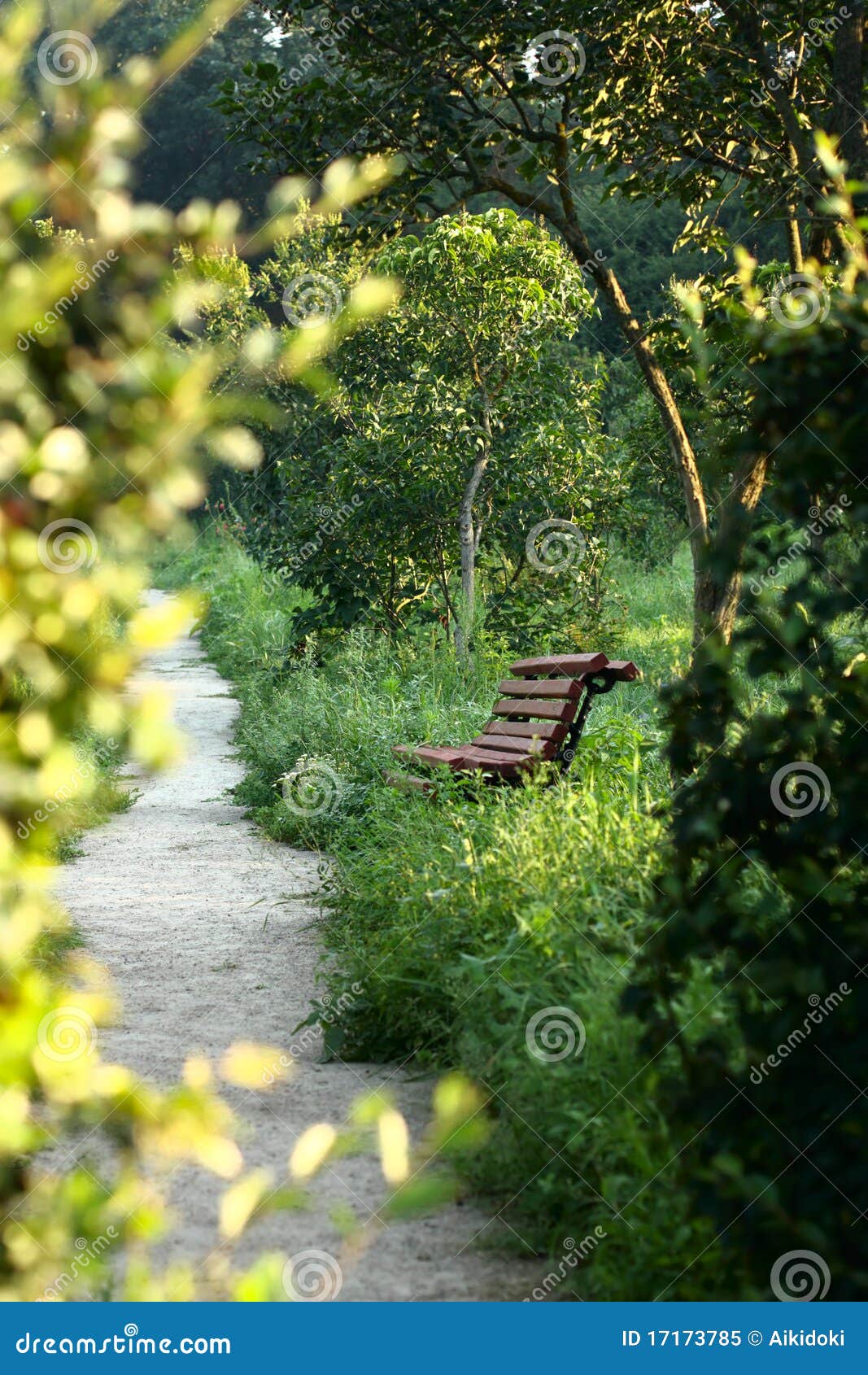Bench by the Summer Sunny Park Stock Image - Image of grass, resting ...