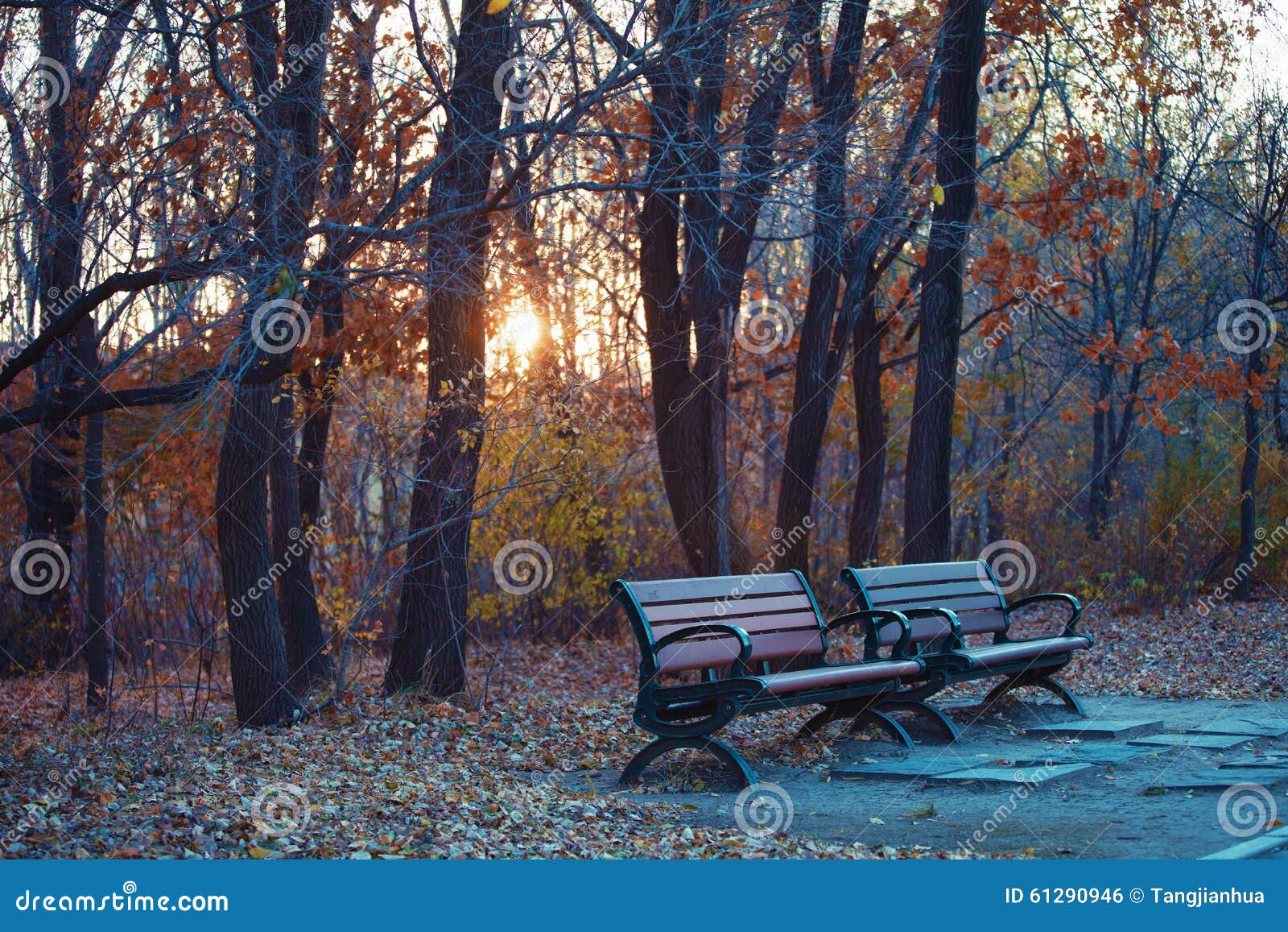 Bench and sunrise stock photo. Image of city, paradise - 61290946