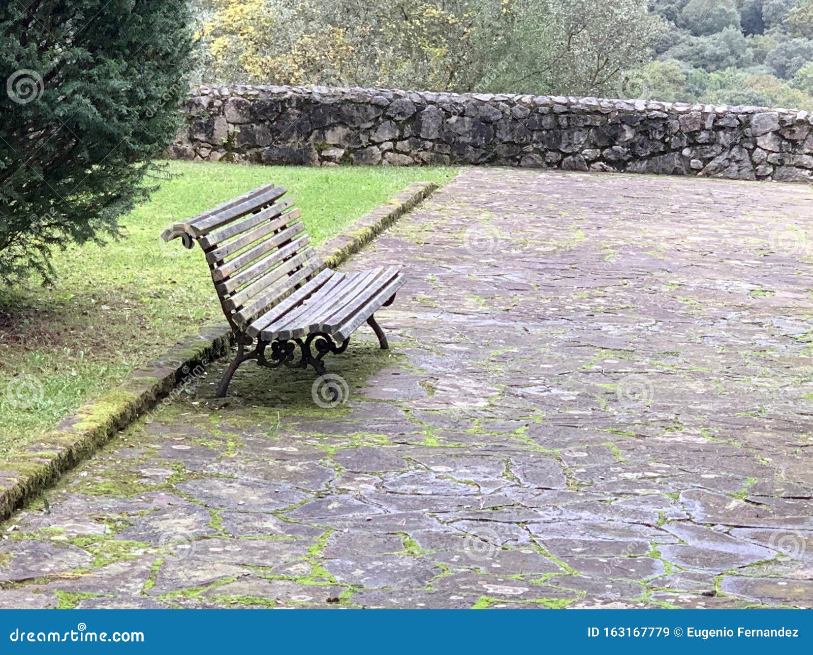 Bench To Sit on in a Park in Cantabria Stock Image - Image of ...