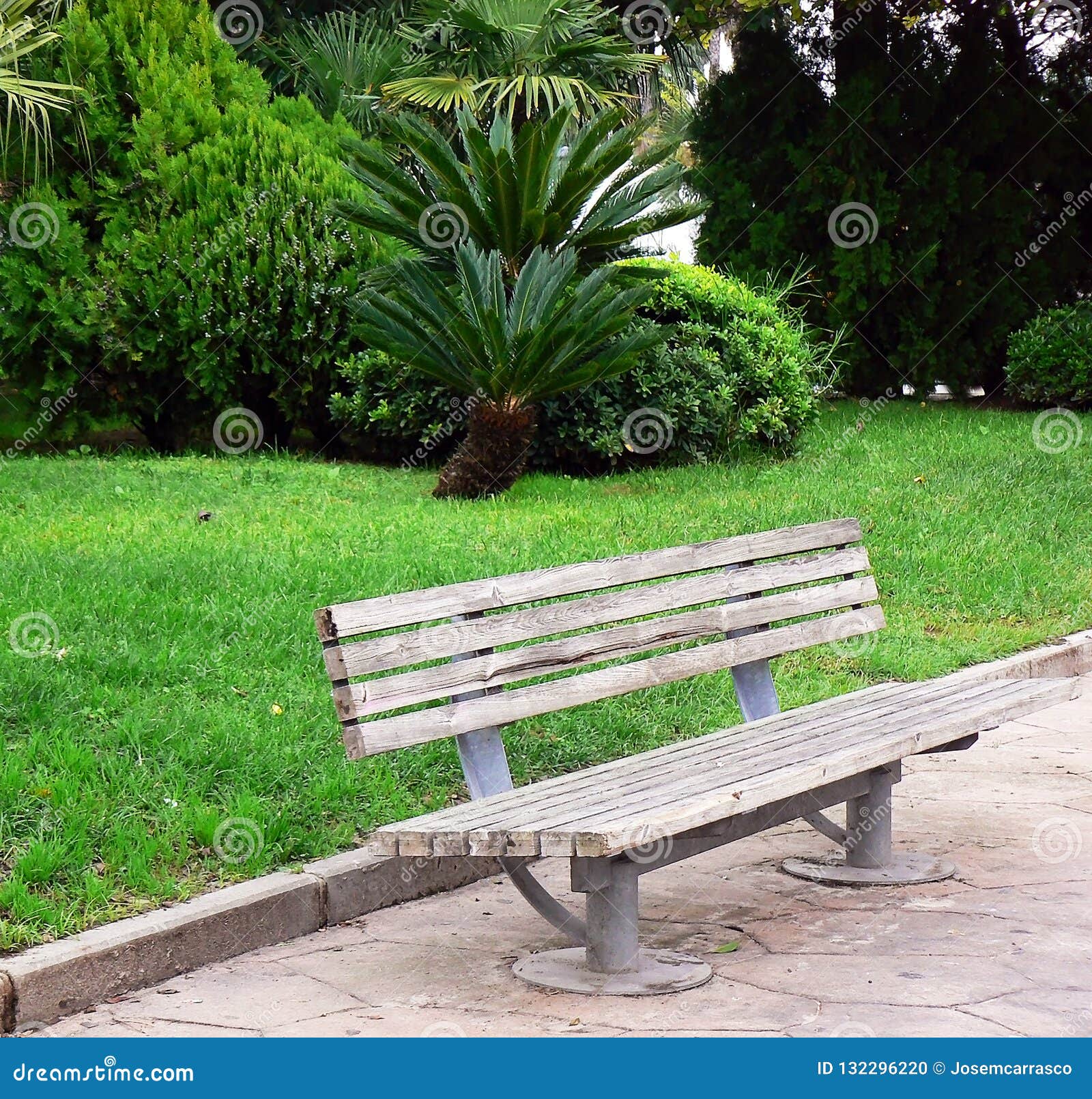 Bench to sit in the park stock photo. Image of bench - 132296220