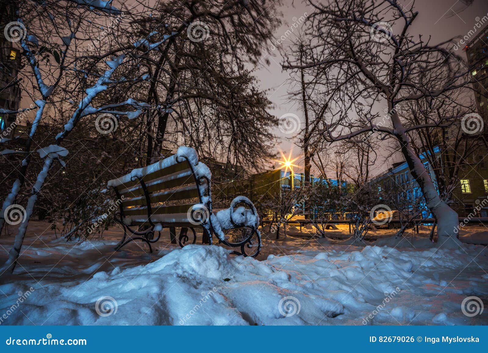Bench and Trees in the Snow at Night Stock Photo - Image of quiet ...