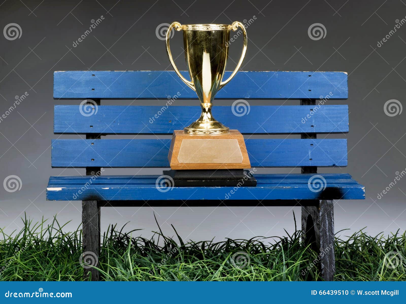 Bench Trophy. stock photo. Image of shiny, wooden, parkbench - 66439510