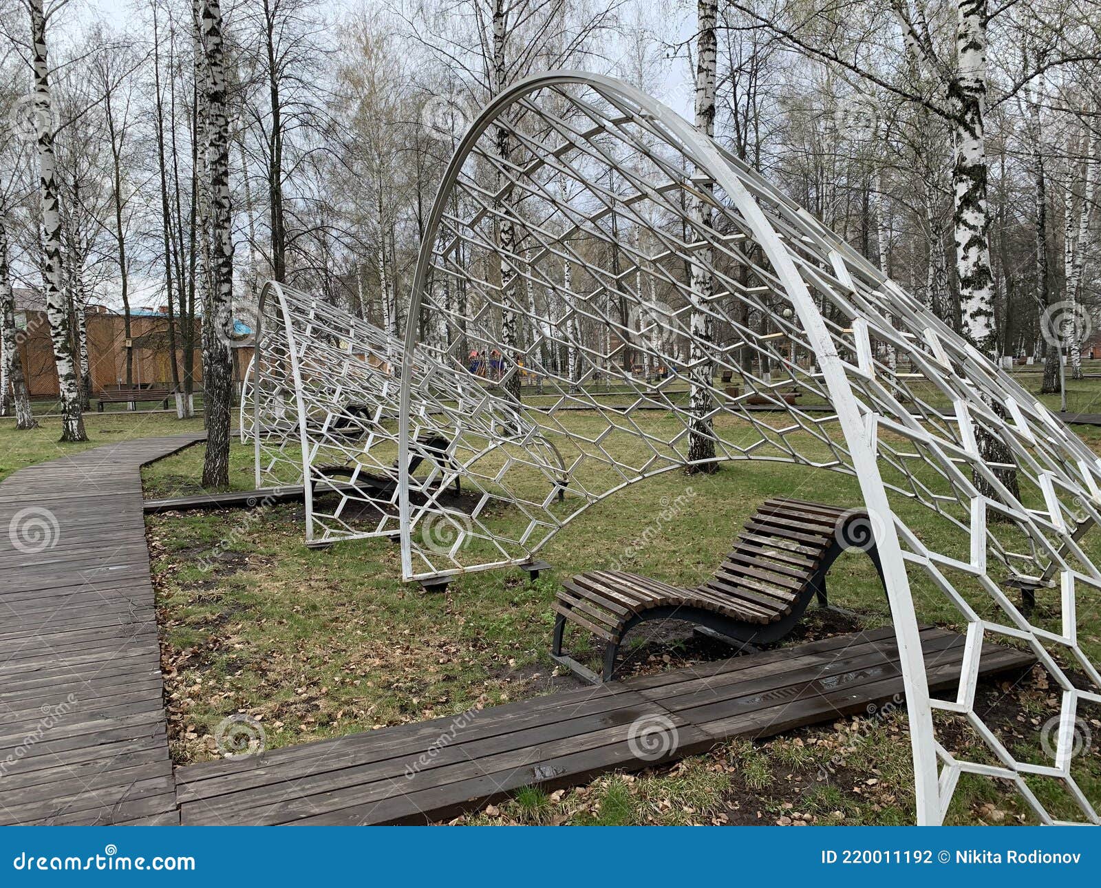 Bench under the arch stock photo. Image of plant, summer - 220011192