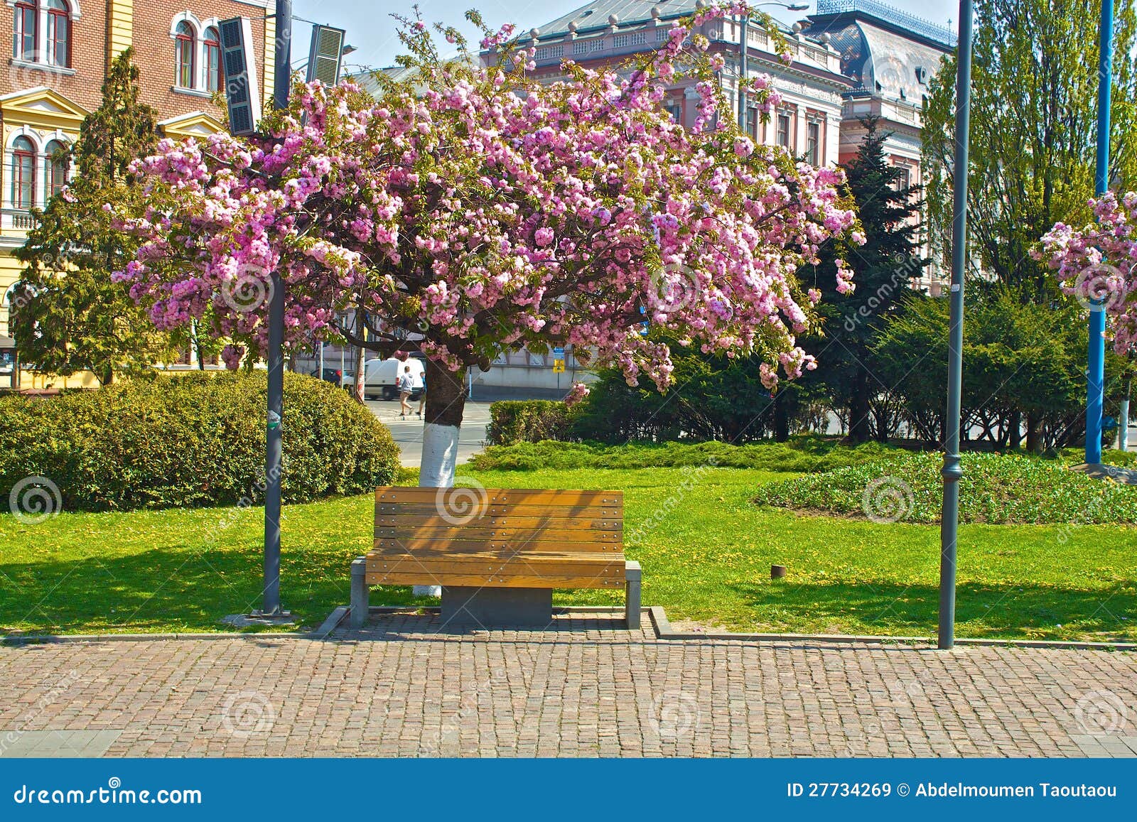 Bench under flowers stock image. Image of abundance, midwest - 27734269