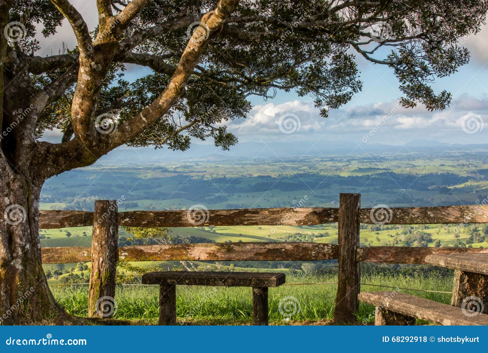 A Bench Under a Large Tree Overlooking the Landscape Stock Photo ...