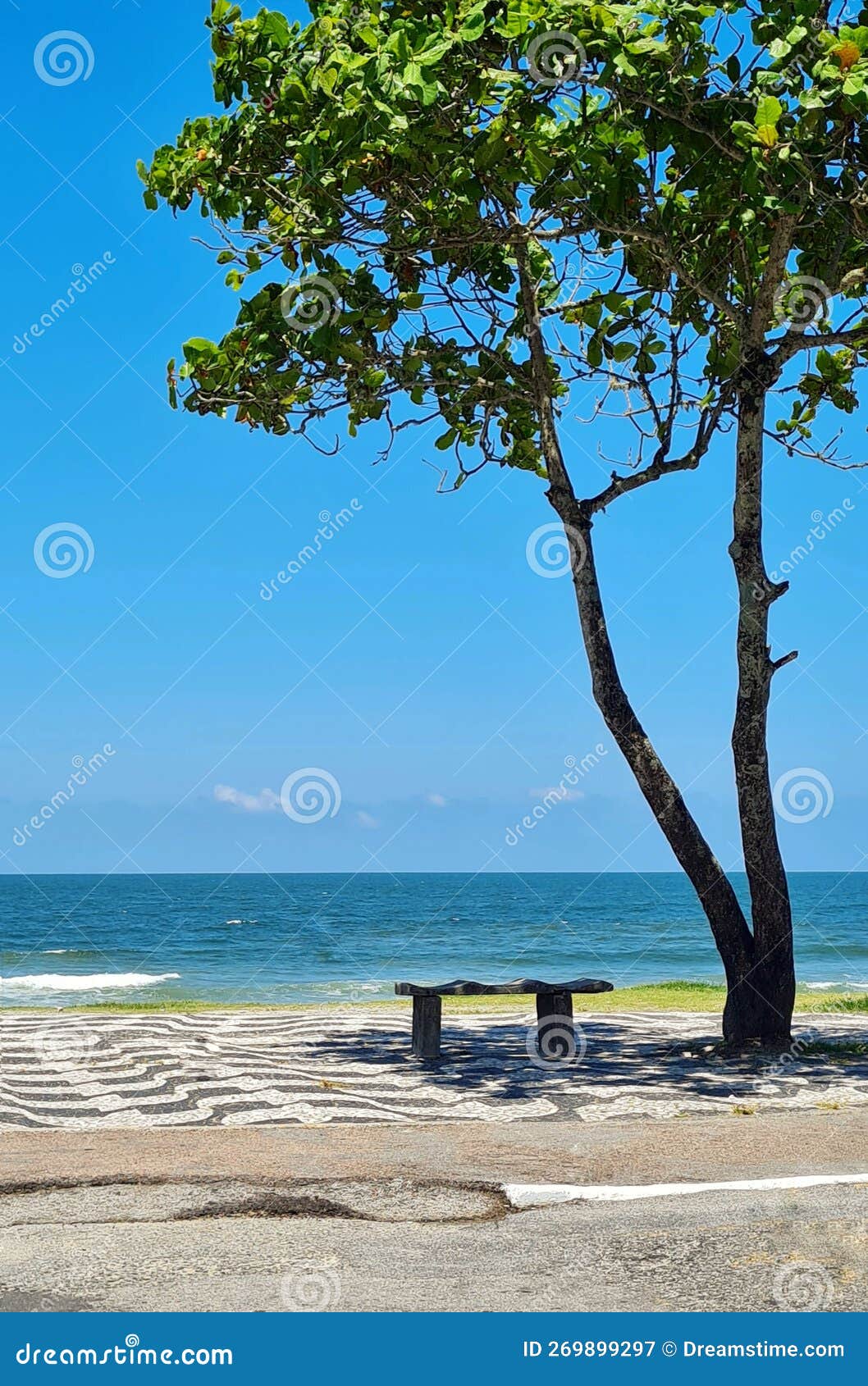 Bench Under the Shade of the Tree on the Boardwalk by the Sea Stock ...