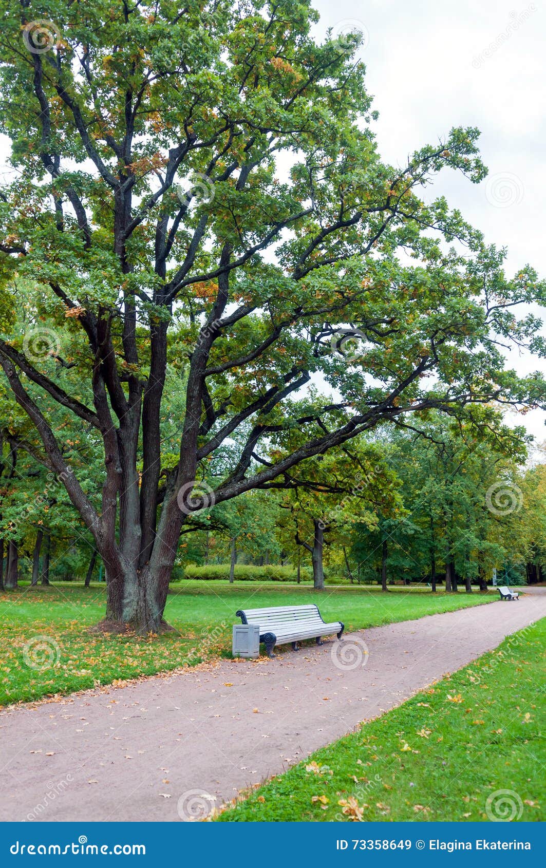 Bench Under a Tree in Autumn Park Stock Image - Image of park, green ...