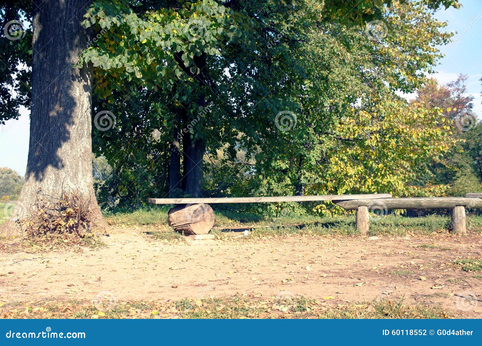 Bench under a tree stock photo. Image of country, outdoors - 60118552