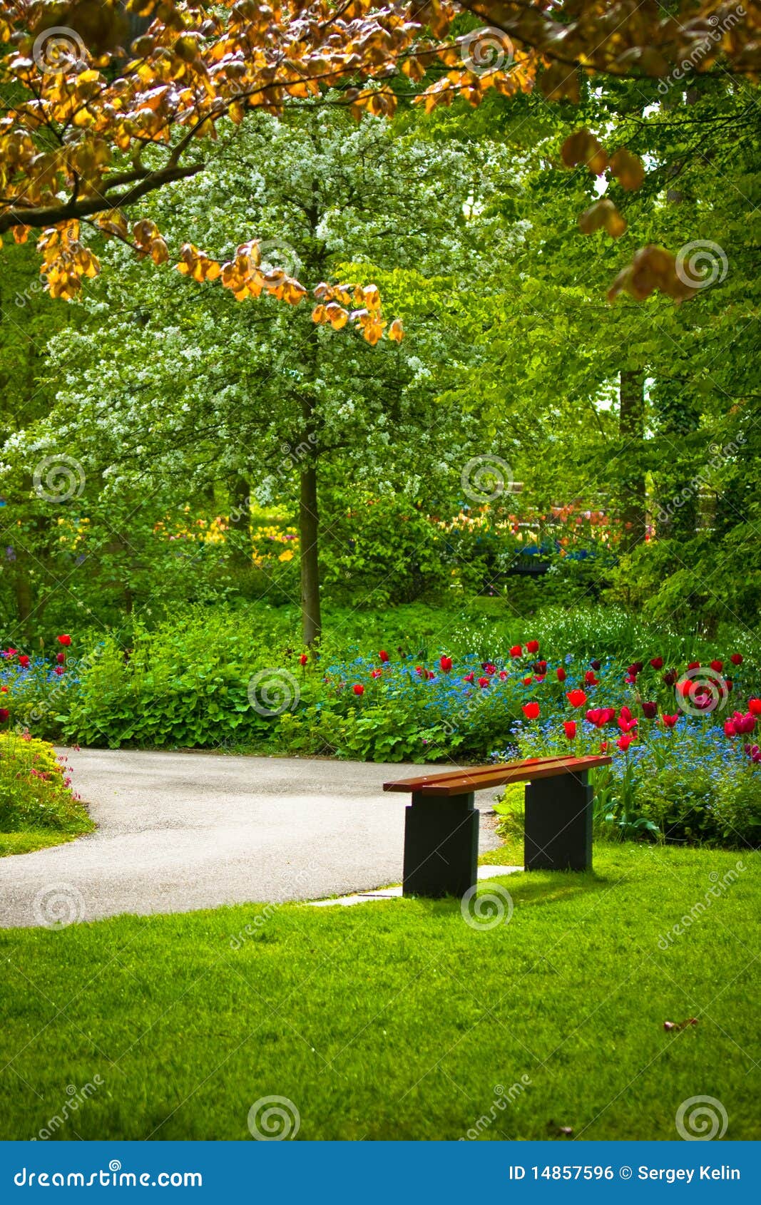 Bench Under a Tree with Flowers in a Park Stock Photo - Image of leaf ...