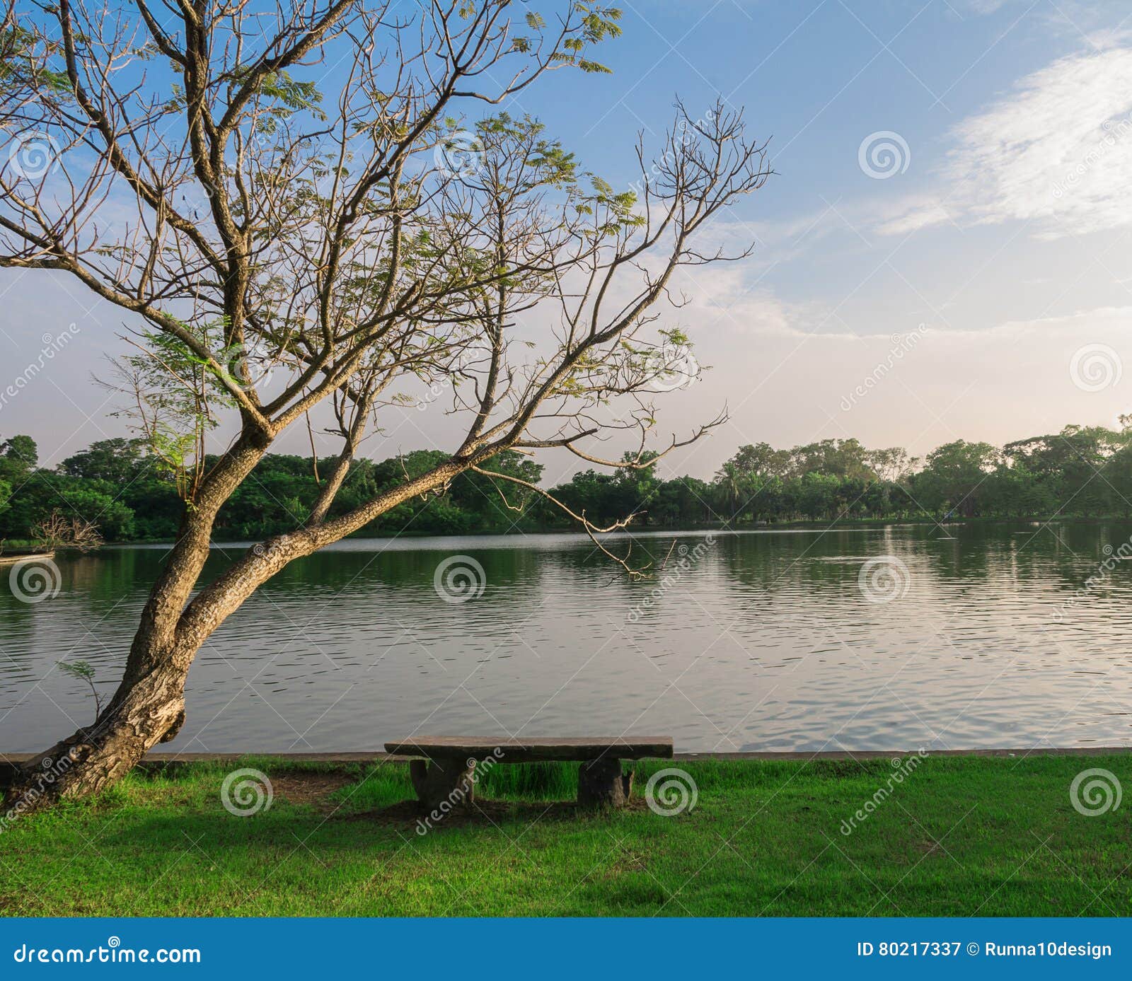 Bench Under the Tree beside the Lake Stock Image - Image of peaceful ...