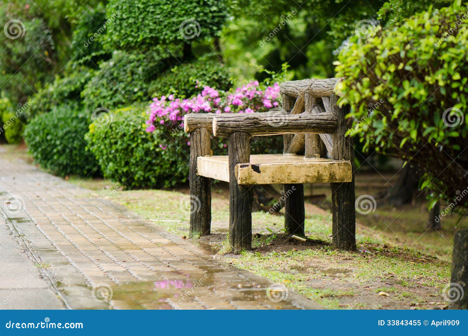 Bench Under the Tree in Park Stock Image - Image of peaceful, season ...