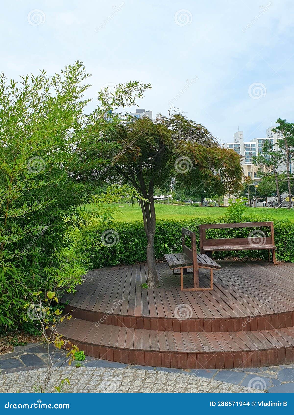 A shop under a tree. stock photo. Image of tree, perfect - 288571944