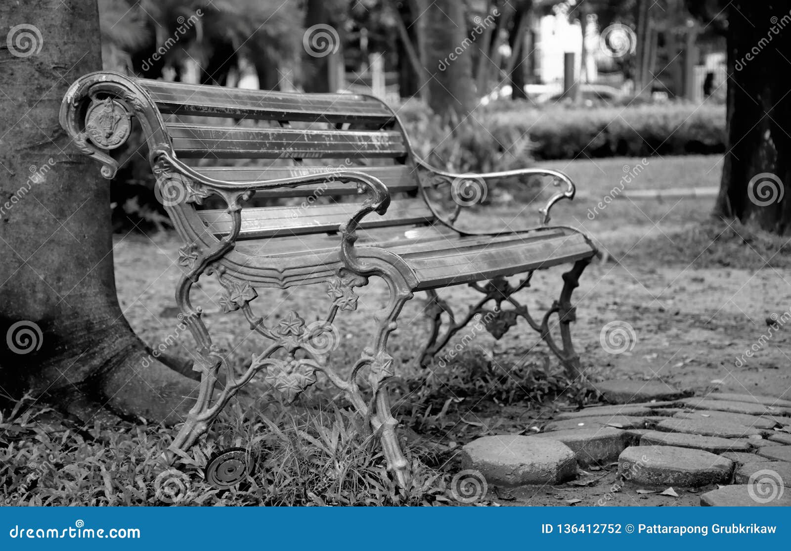 A Bench under the tree. stock photo. Image of mark, nature - 136412752