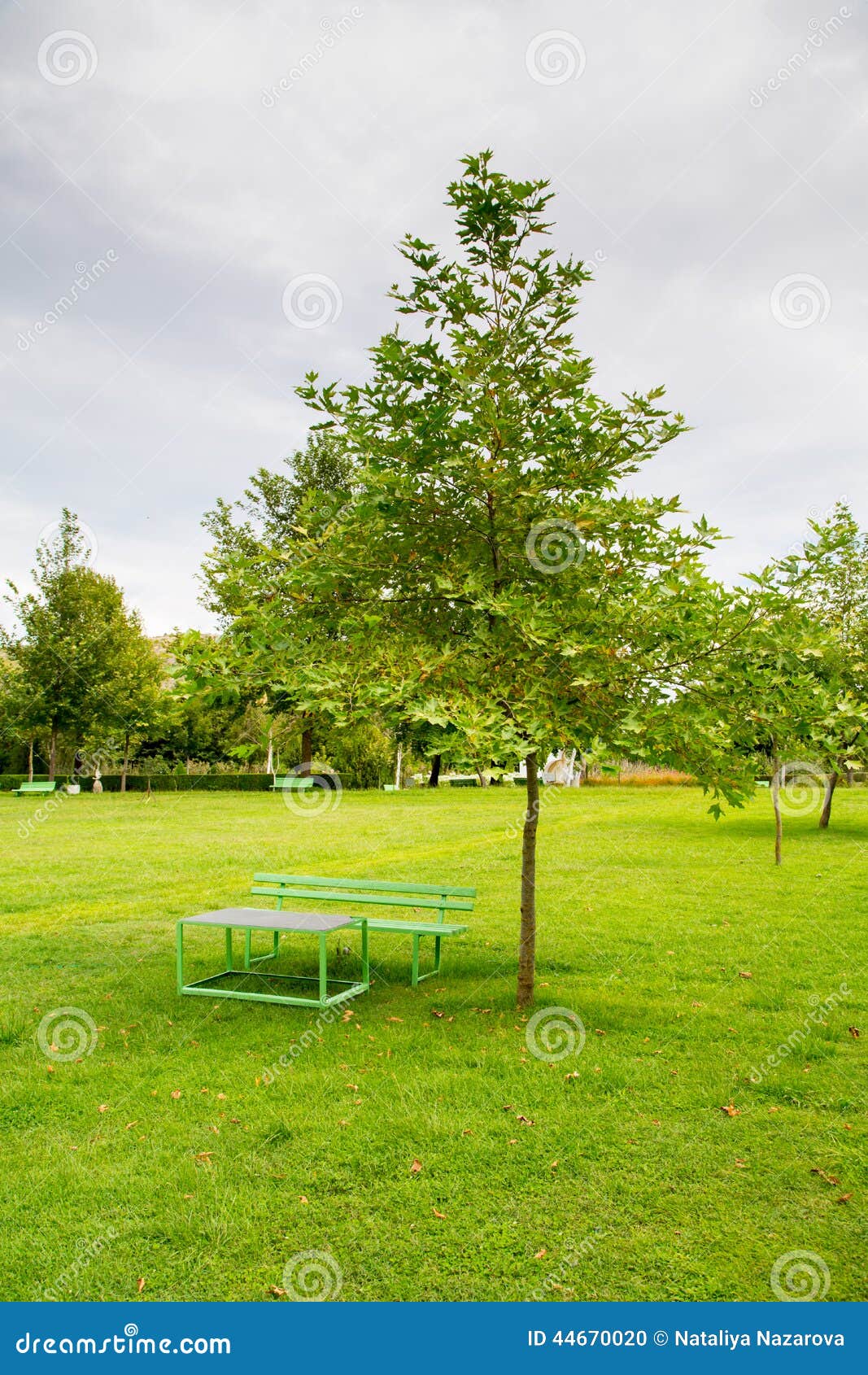 Bench under the tree stock photo. Image of quiet, parkland - 44670020