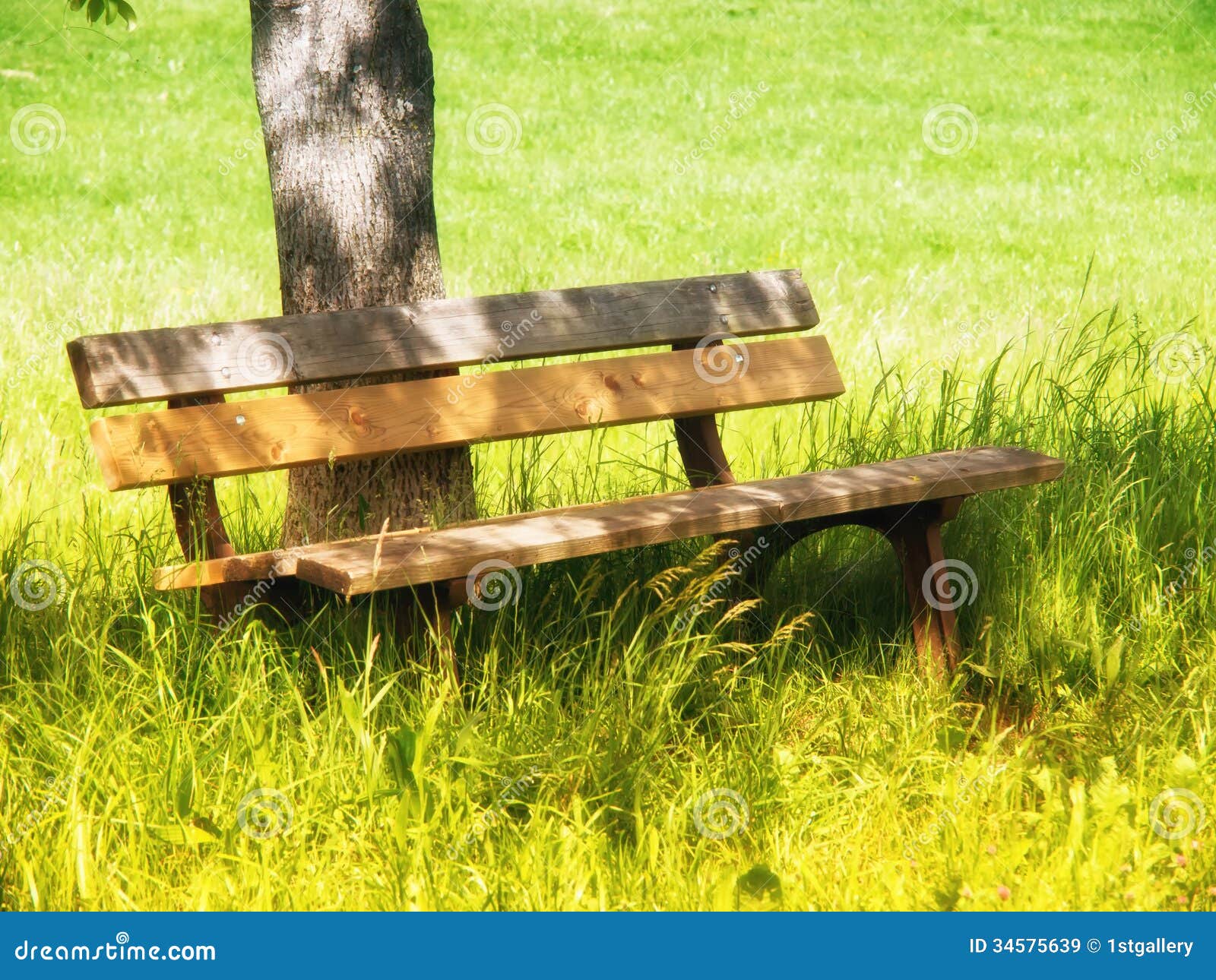 Bench under a tree (10) stock image. Image of sitting - 34575639