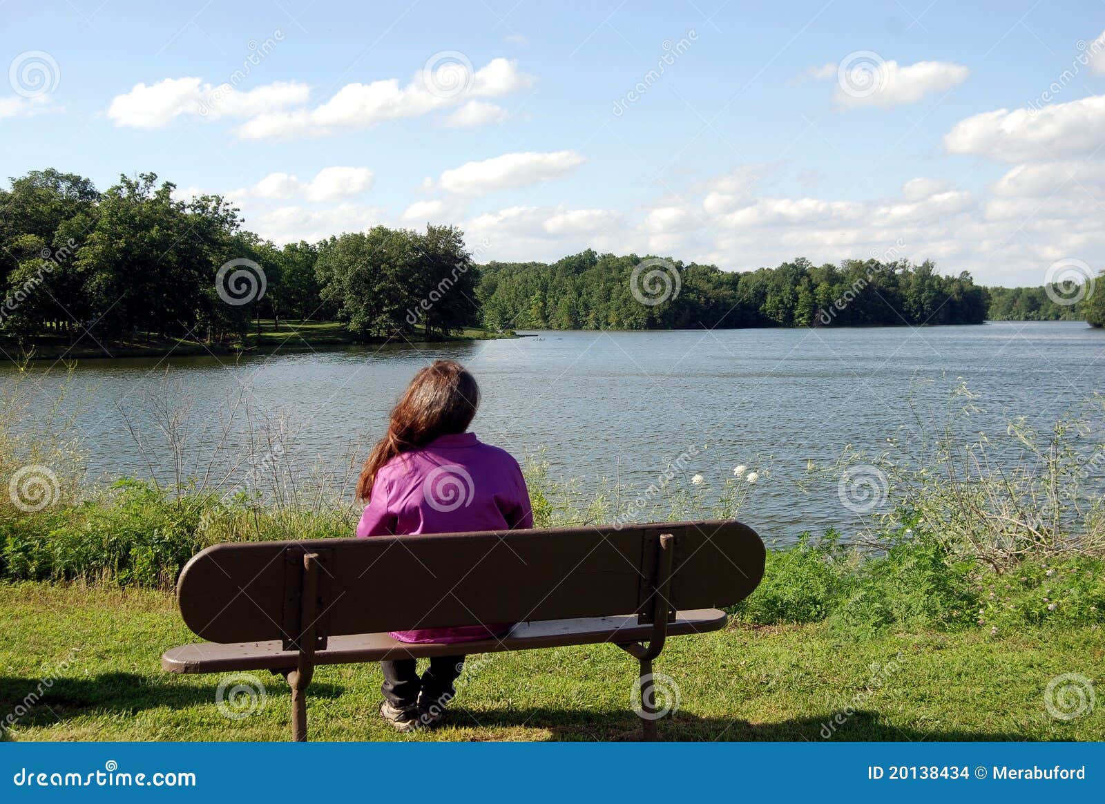 Bench with a view stock photo. Image of breathe, nature - 20138434