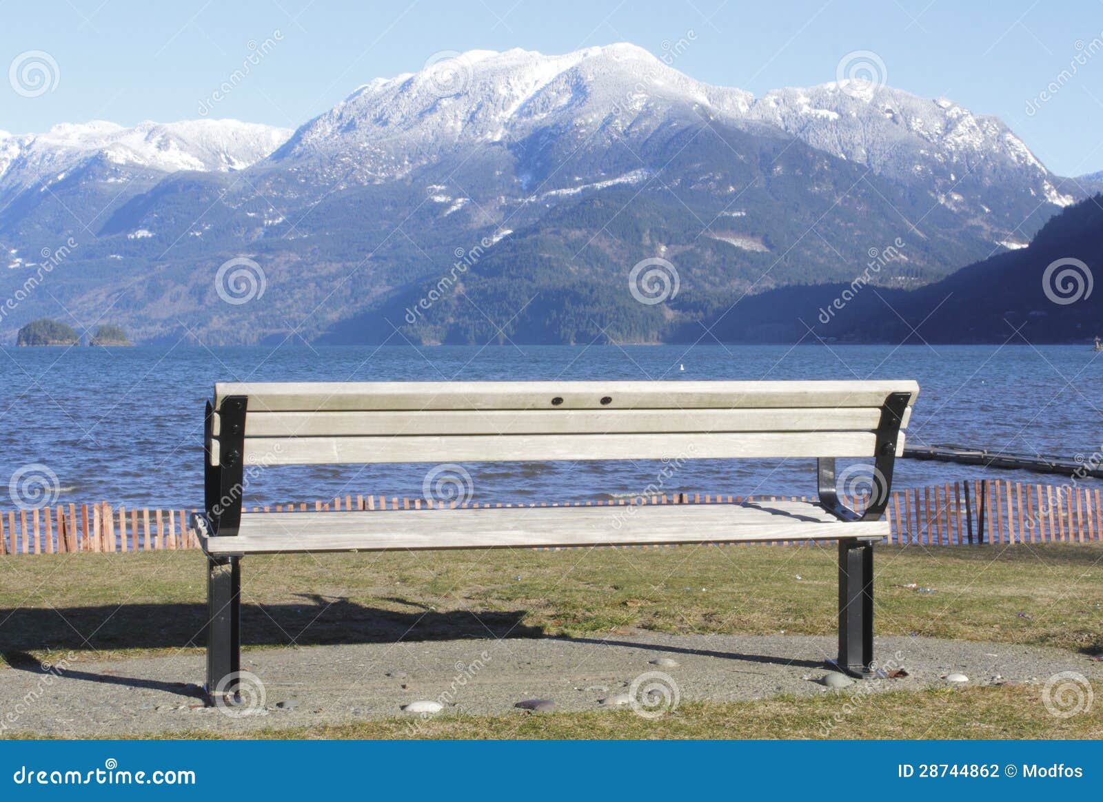 Bench with a View stock photo. Image of bench, lakeside - 28744862